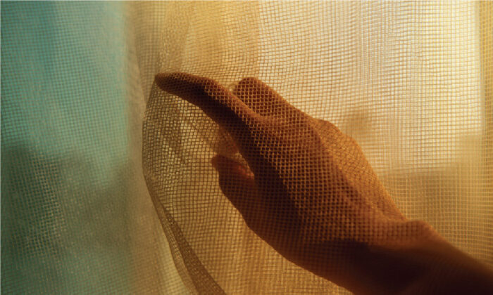 Itch Insight - Suffering from itch? | What is Itch?